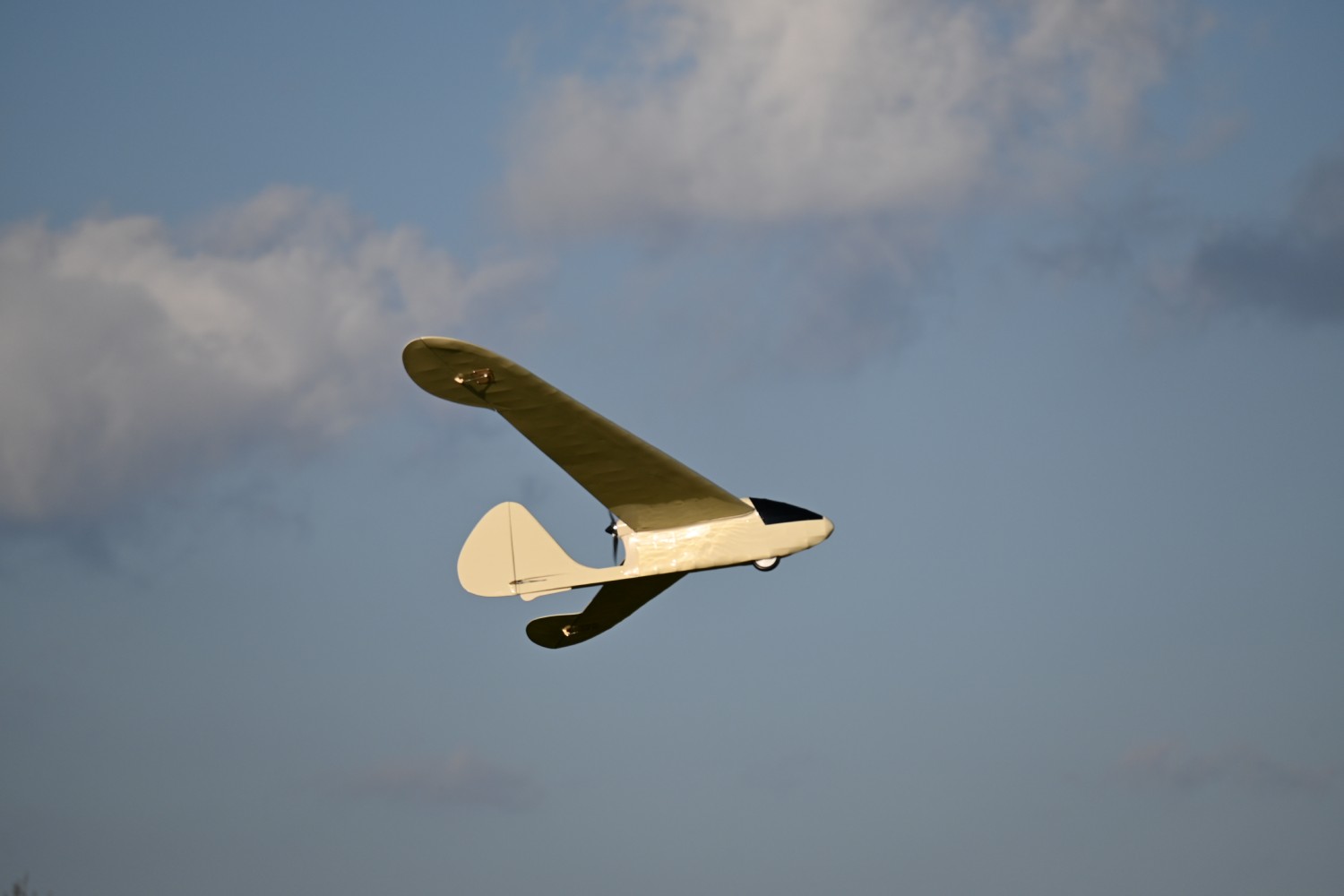 Gallery - Modern Vintage Models